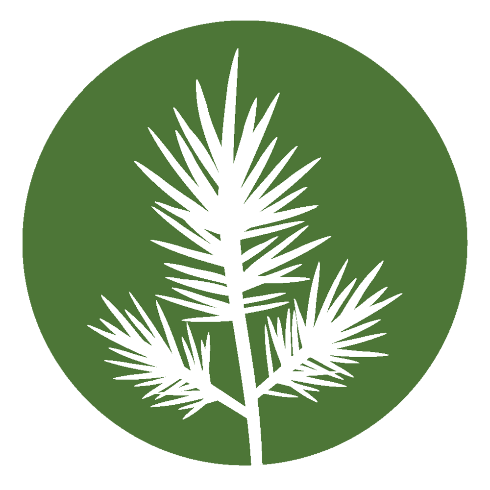 Living Memorial Tree – Remembrance Store™ by Batesville